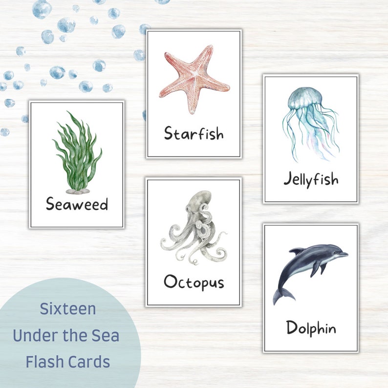 16 Under the Sea Flash Cards, Printable, Sea Creatures, Language ...