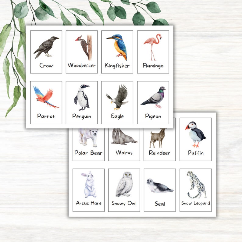 40 Animal Flash Cards, Instant Download, Home Schooling, Vocabulary ...