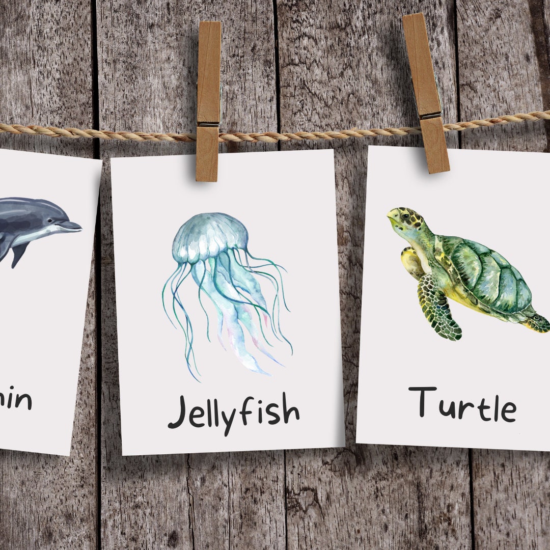 16 Under the Sea Flash Cards, Printable, Sea Creatures, Language ...