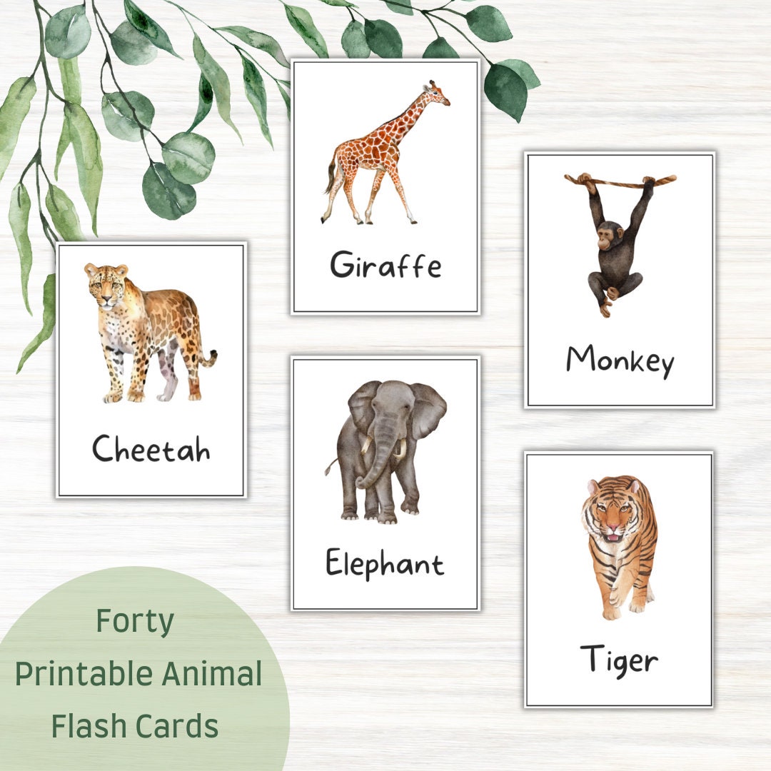 40 Animal Flash Cards, Instant Download, Home Schooling, Vocabulary ...