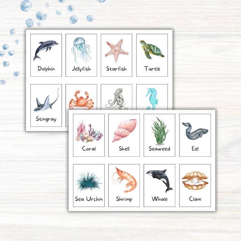 16 Under the Sea Flash Cards, Printable, Sea Creatures, Language ...
