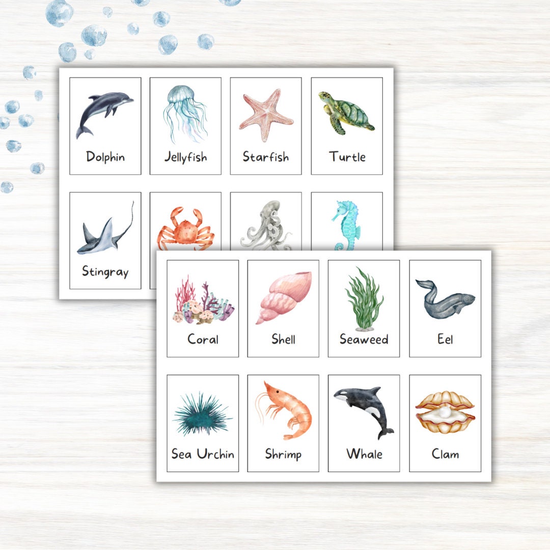16 Under the Sea Flash Cards, Printable, Sea Creatures, Language ...