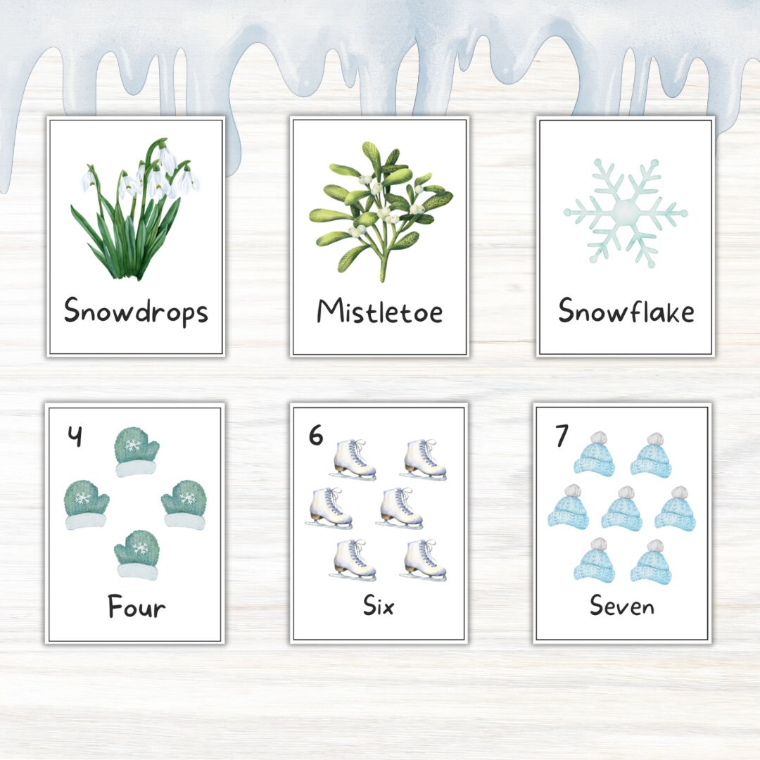 Winter Flash Card Bundle, Winter Vocabulary, Literacy Resource ...