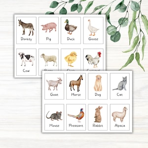 40 Animal Flash Cards, Instant Download, Home Schooling, Vocabulary ...
