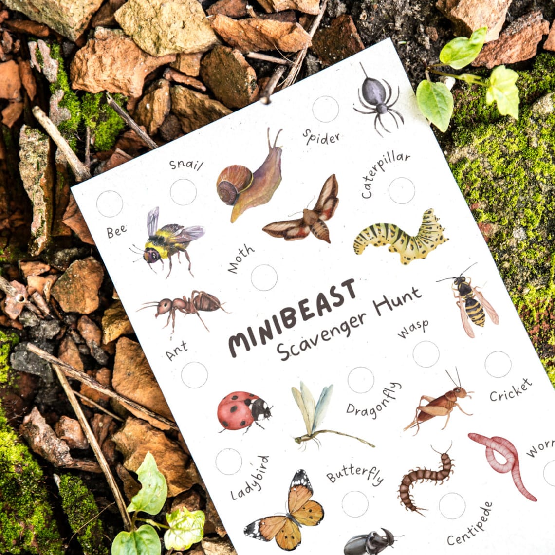 Minibeast Scavenger Hunt Printable, Insect Checklist, Nature Walk ...