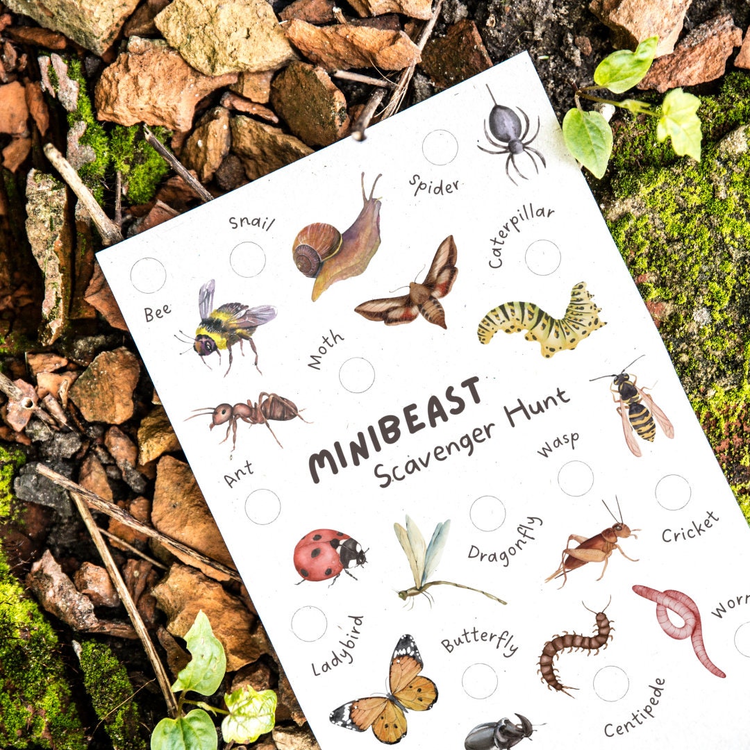 Minibeast Scavenger Hunt Printable, Insect Checklist, Nature Walk ...
