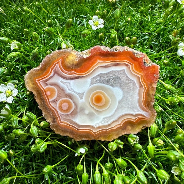 Agate Dad - Etsy