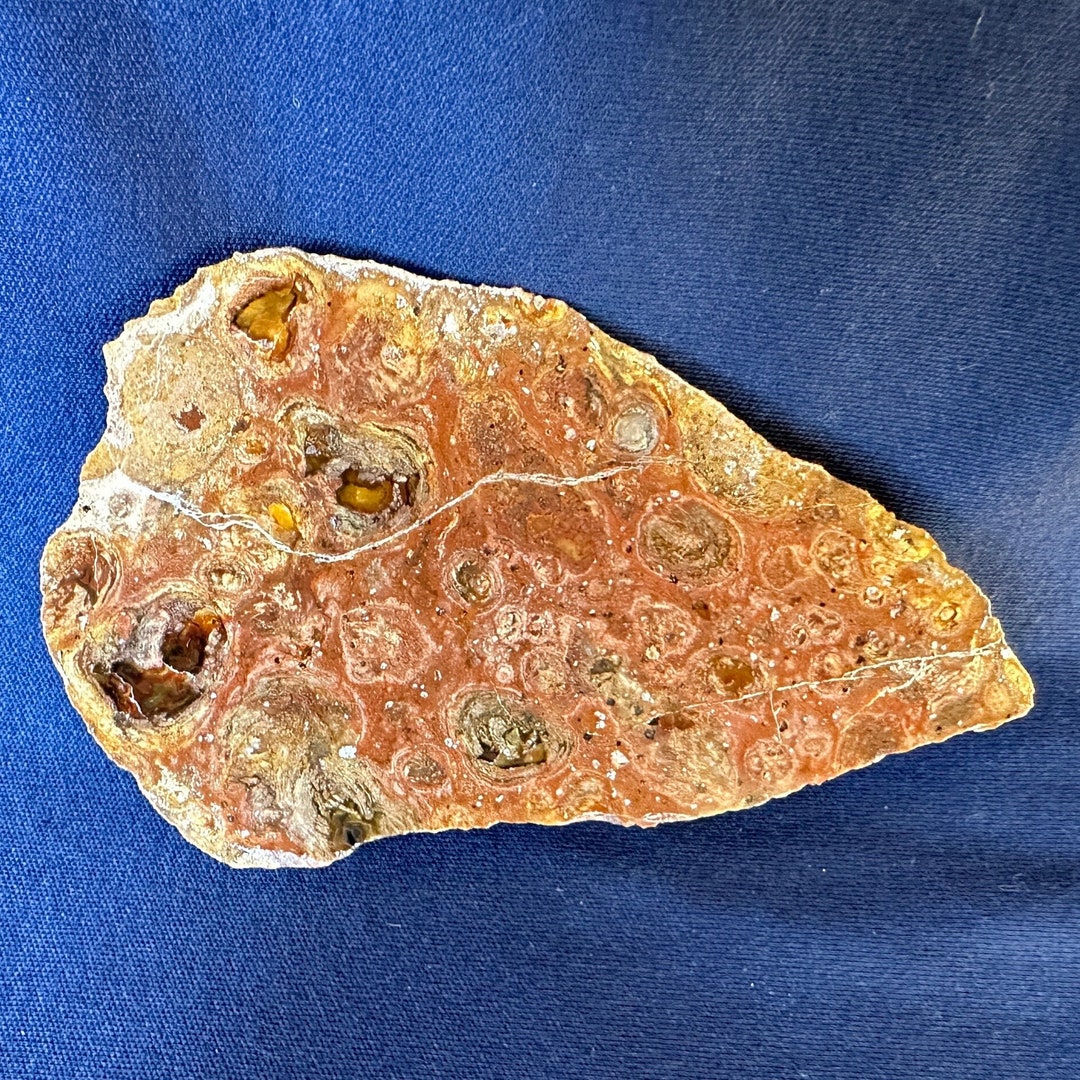 138g/0.3lb Polish Poland Bird's Eye Rhyolite With Small - Etsy