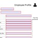 Employee Profile Pack (fillable Pdfs) - Etsy