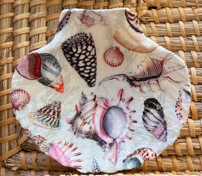 Coastal Sea Shell Trinket Dish / Display Tray - Etsy