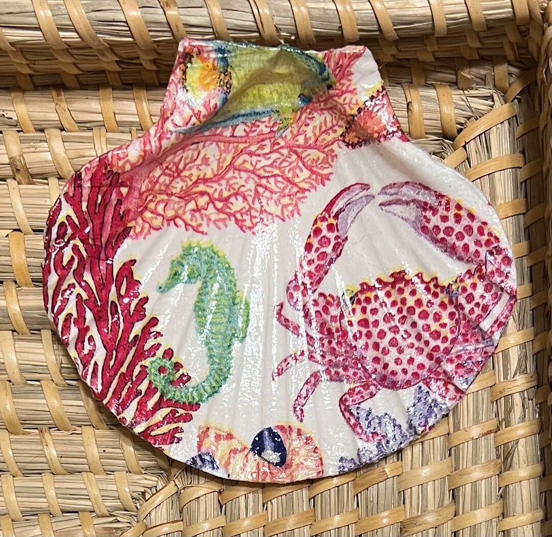 Coastal Under the Sea Crab Shell - Etsy
