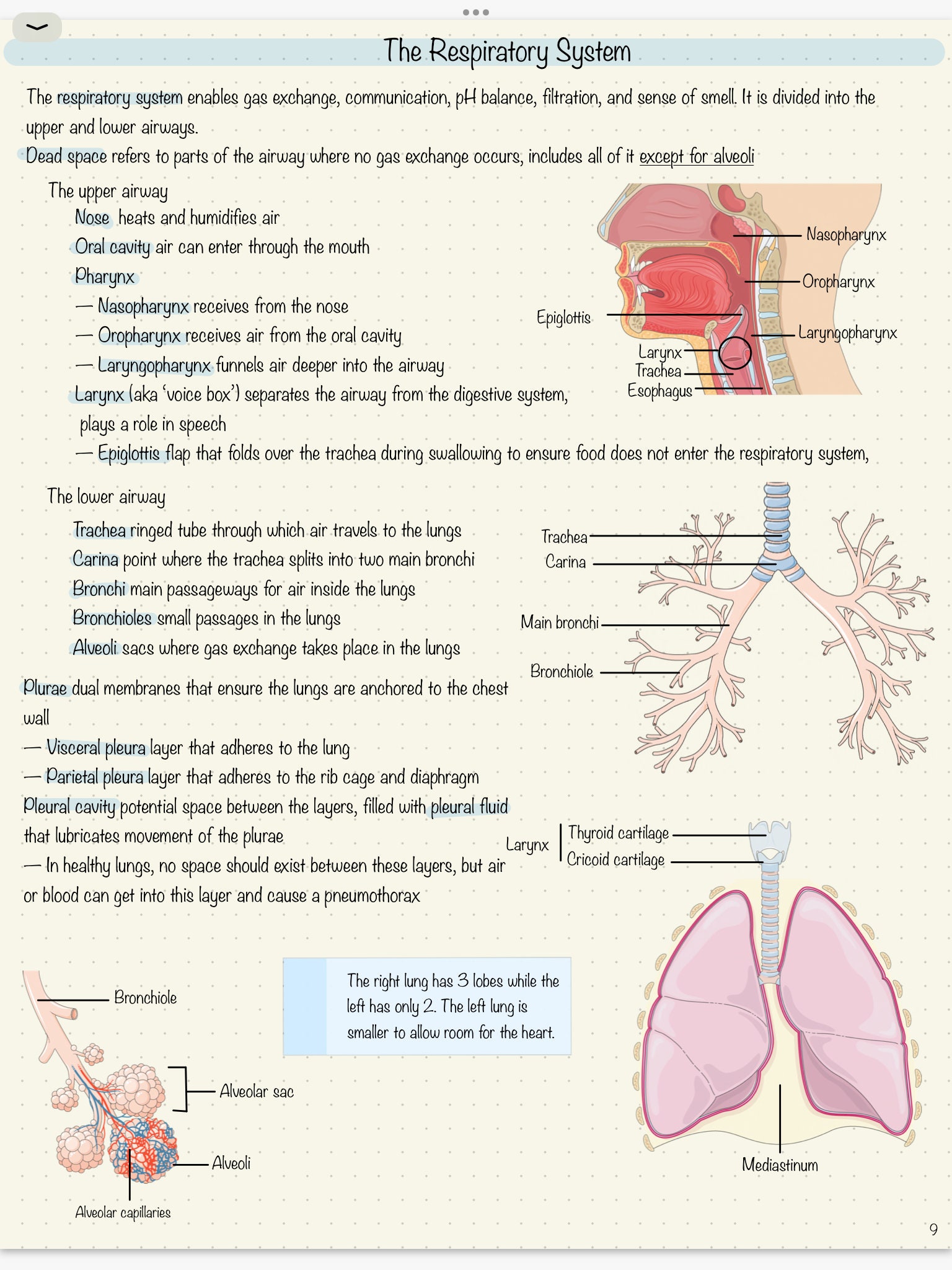 Anatomy and Physiology for EMT Students - Etsy