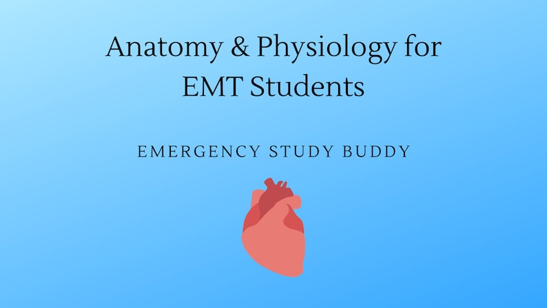 Anatomy and Physiology for EMT Students - Etsy