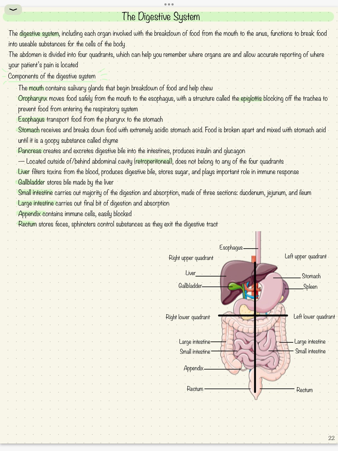 Anatomy and Physiology for EMT Students - Etsy