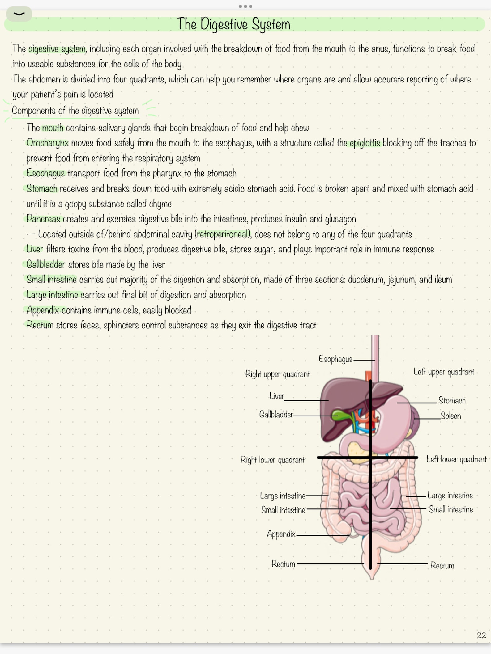 Anatomy and Physiology for EMT Students - Etsy