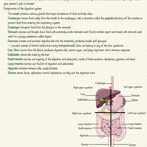 Anatomy and Physiology for EMT Students - Etsy