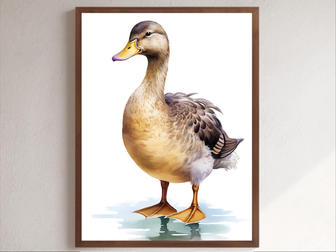 Vintage Duck Print: Watercolor Duck Wall Art (digital Download) - Etsy
