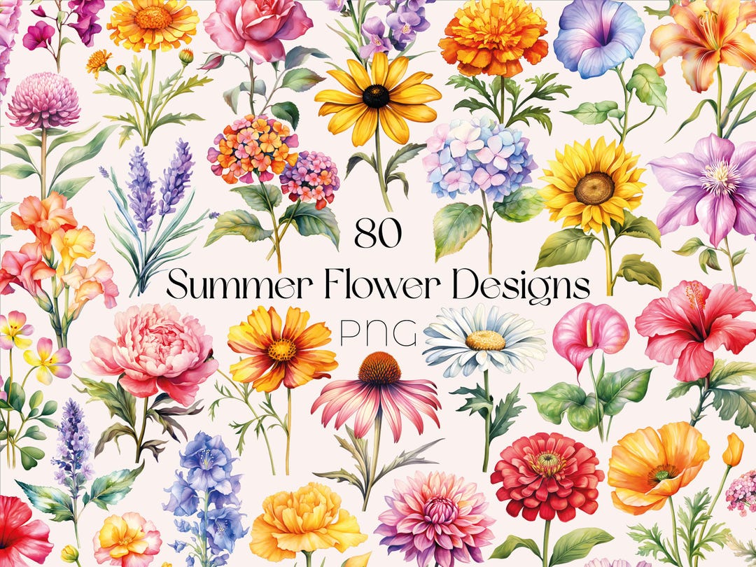Watercolor Summer Flower Clipart: Wildflower Bouquet PNG (digital ...