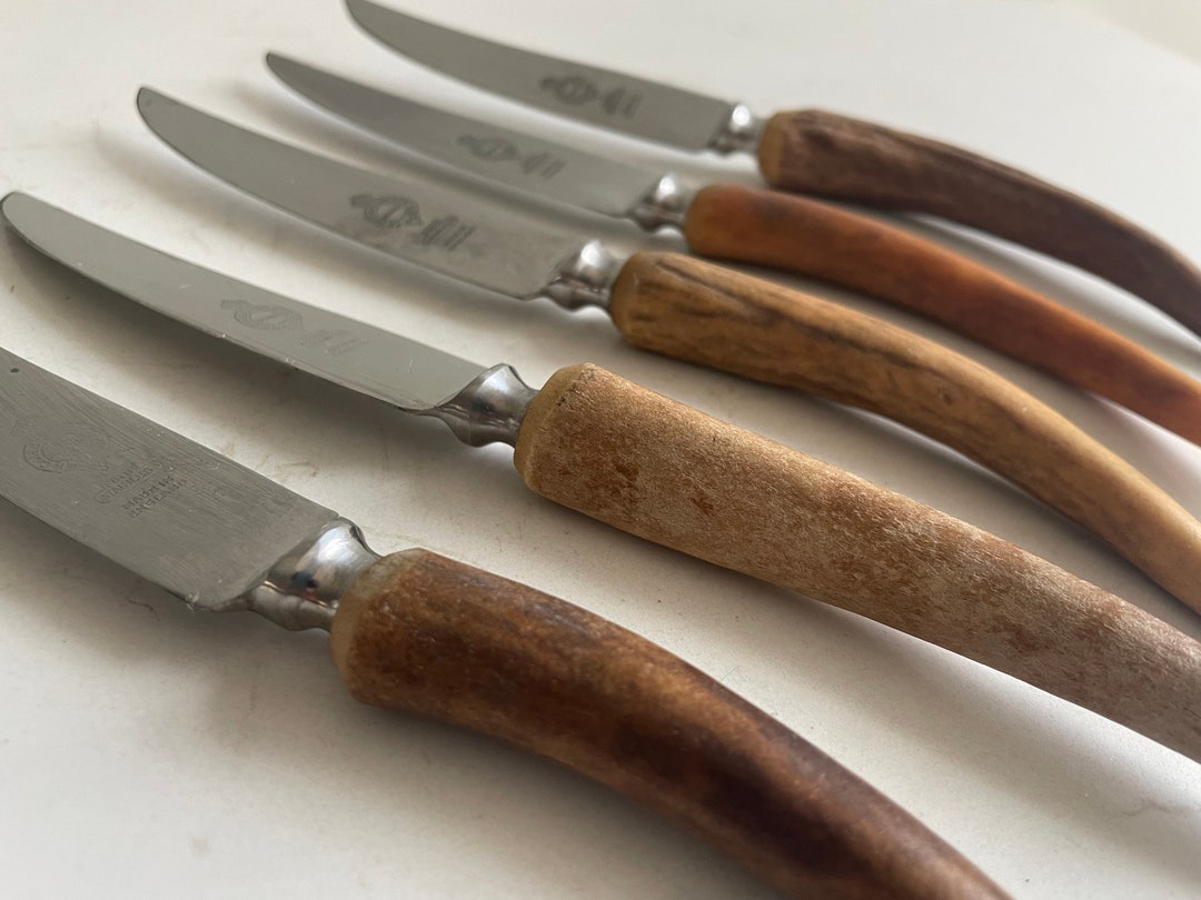 Set of 5 Vintage Antler Handle Stainless English Steak Knives | Chas ...