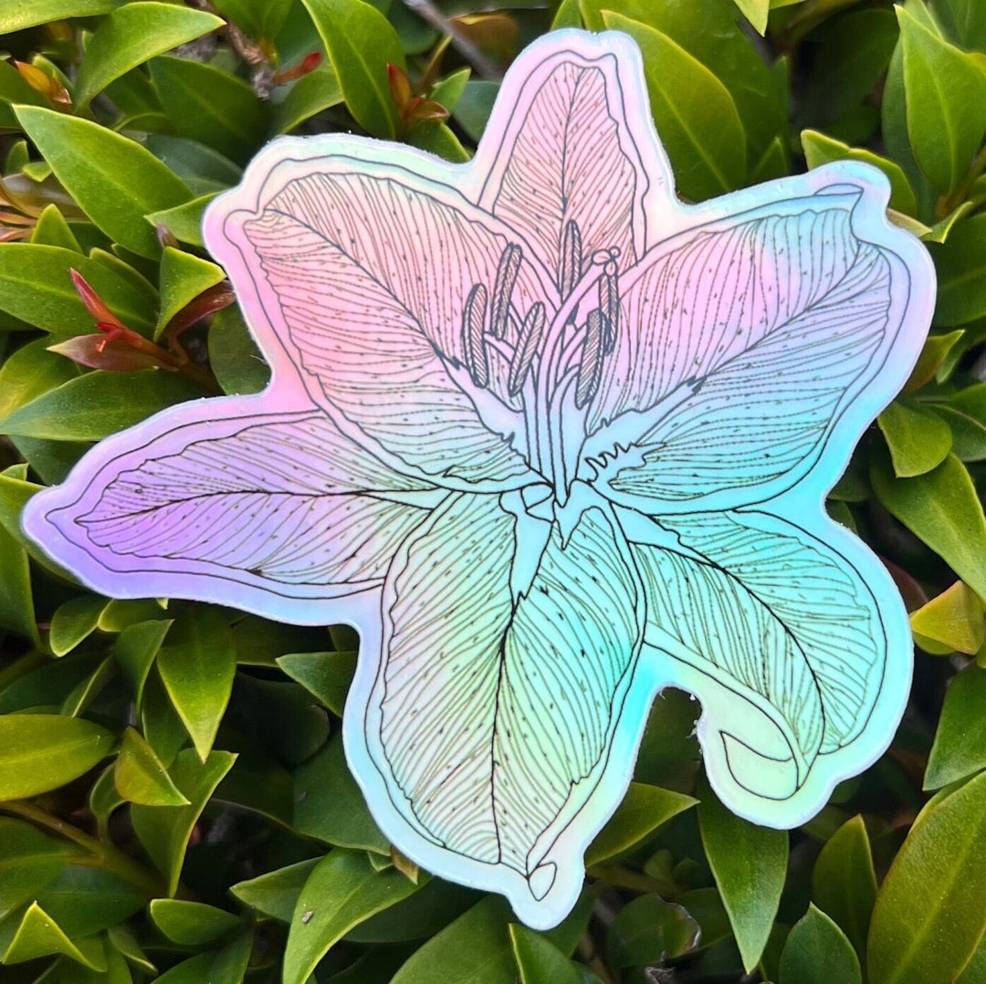 Stargazer Sticker | Holographic Vinyl Sticker - Etsy