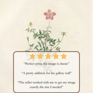 Cottagecore Art Print of an English Cottage and Garden, Vintage Decor ...