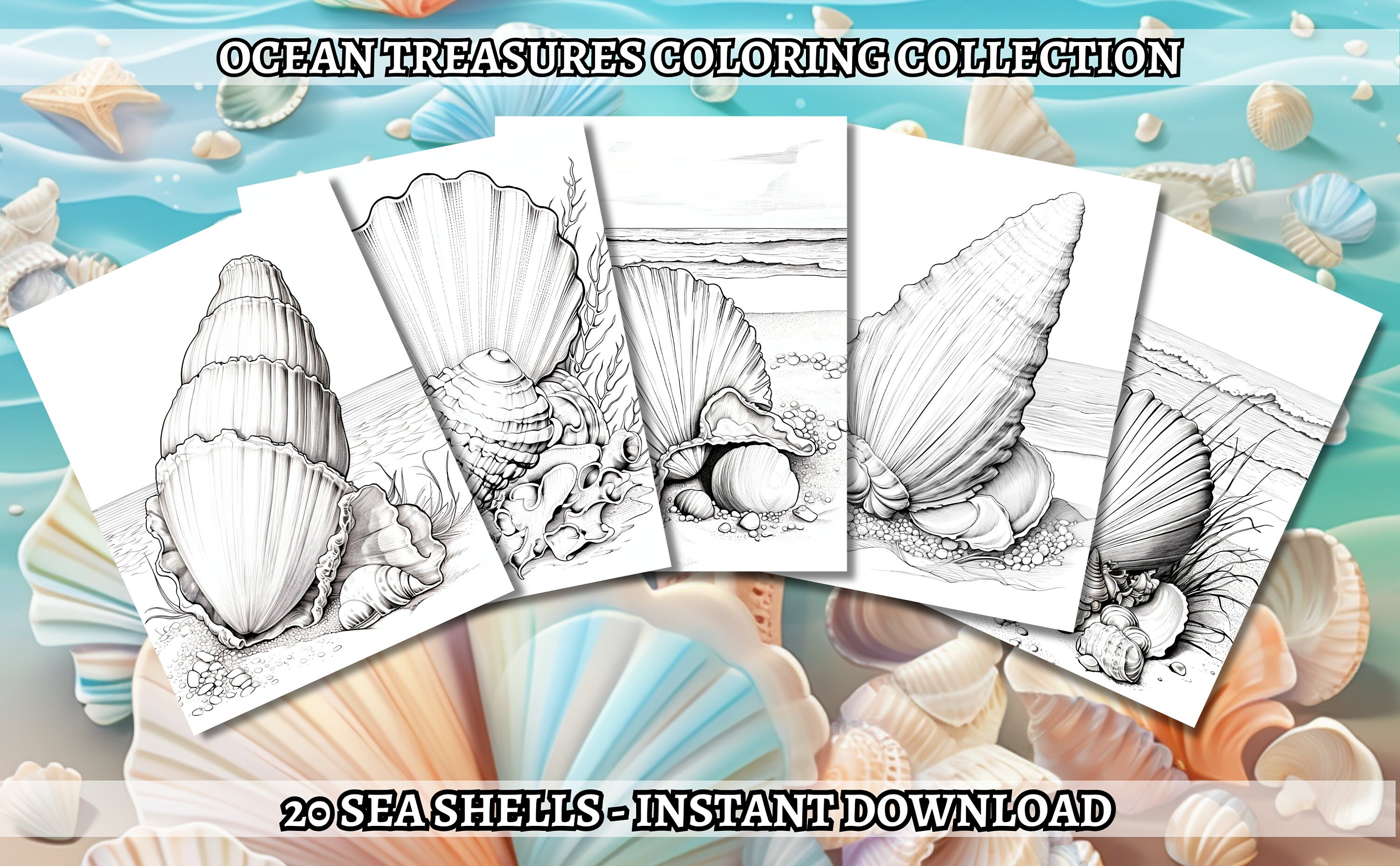 20 Sea Shells Coloring Book Coloring Pages Grayscale - Etsy