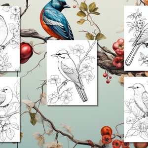 25 Beautiful Bird Scenes Coloring Book - Coloring Pages, Grayscale ...