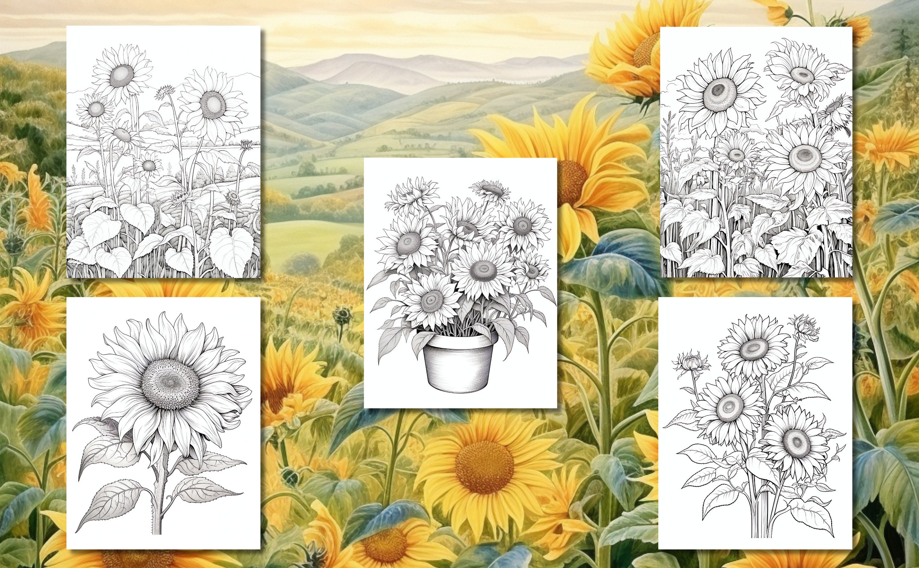 20 Sunflower Scenes Coloring Book Coloring Pages, Grayscale Coloring ...