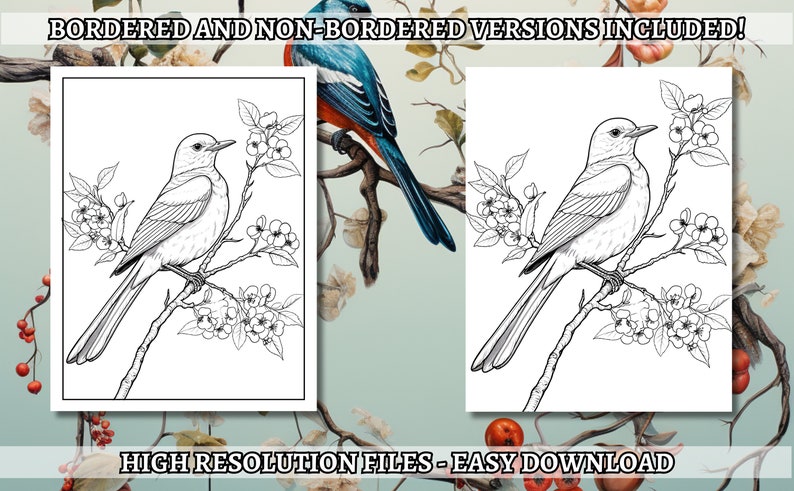 25 Beautiful Bird Scenes Coloring Book - Coloring Pages, Grayscale ...