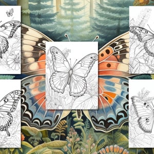 20 Beautiful Butterflies Coloring Book Coloring Pages, Grayscale ...