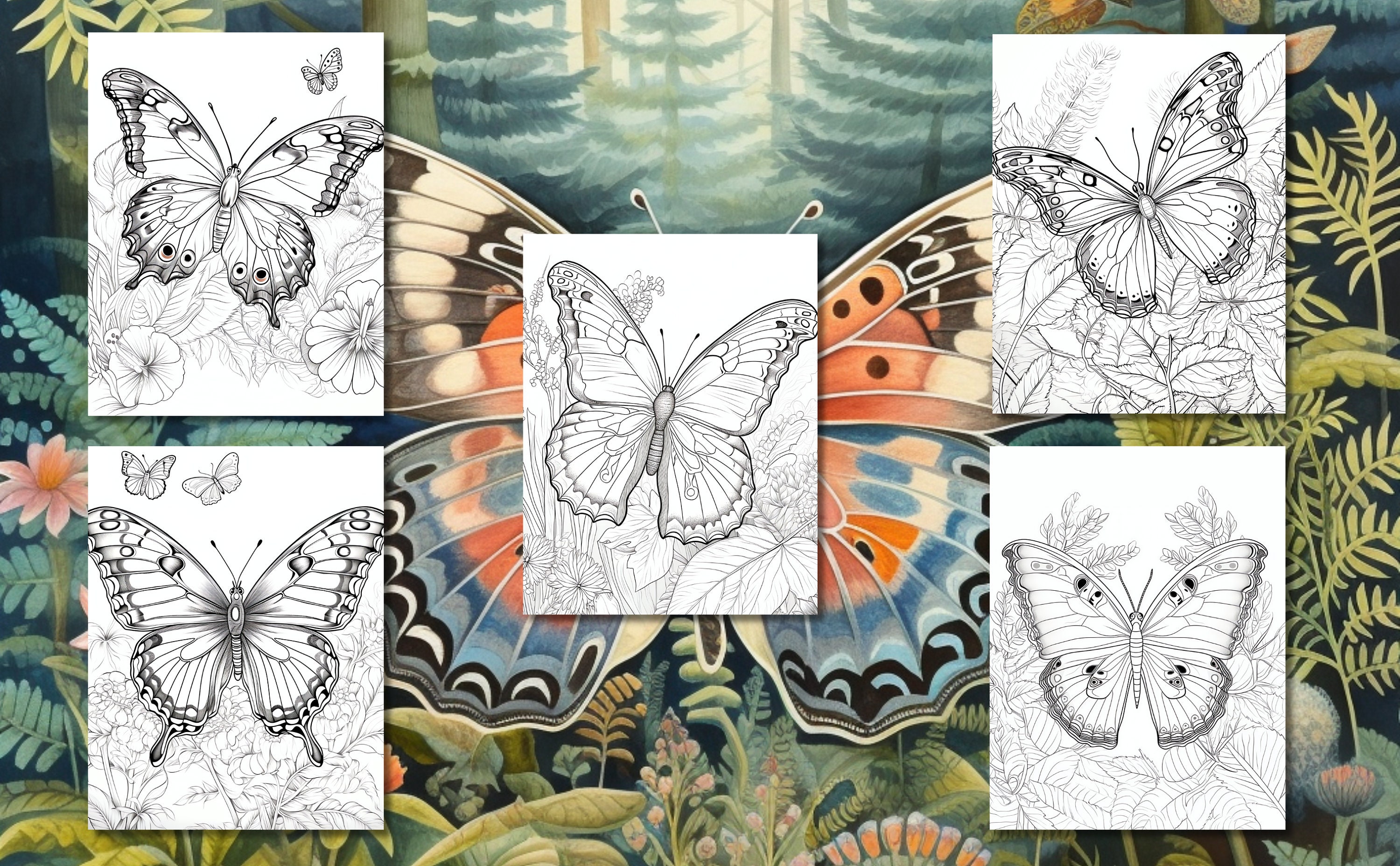 20 Beautiful Butterflies Coloring Book Coloring Pages, Grayscale ...
