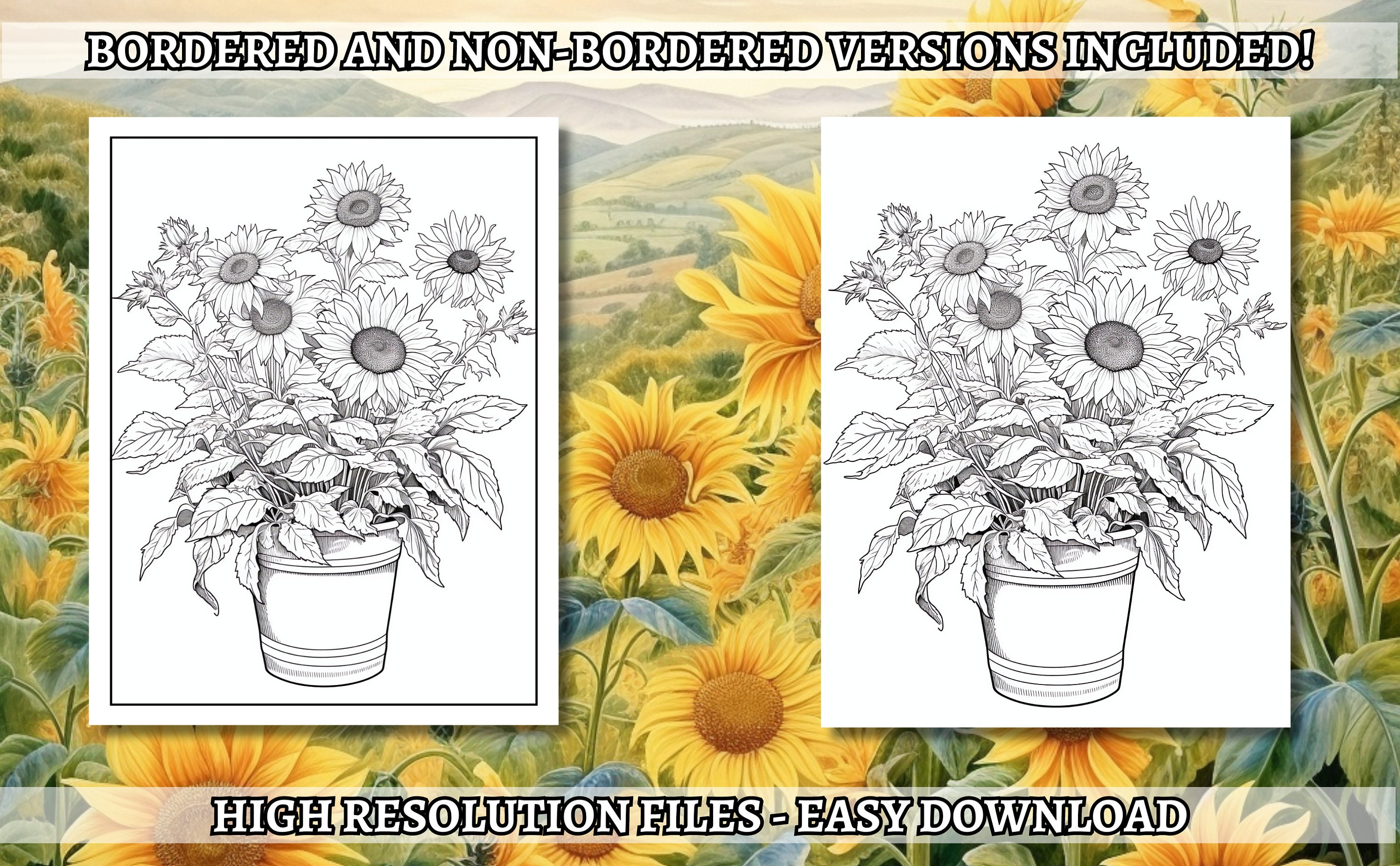 20 Sunflower Scenes Coloring Book Coloring Pages Grayscale - Etsy