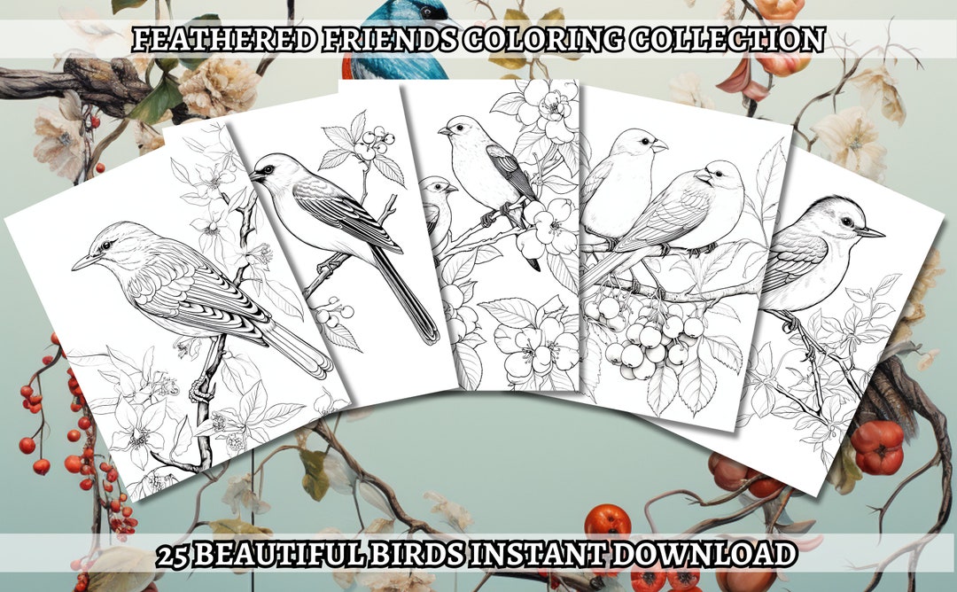 25 Beautiful Bird Scenes Coloring Book - Coloring Pages, Grayscale ...