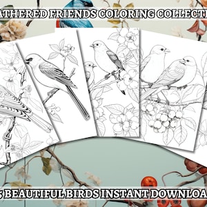 25 Beautiful Bird Scenes Coloring Book - Coloring Pages, Grayscale ...