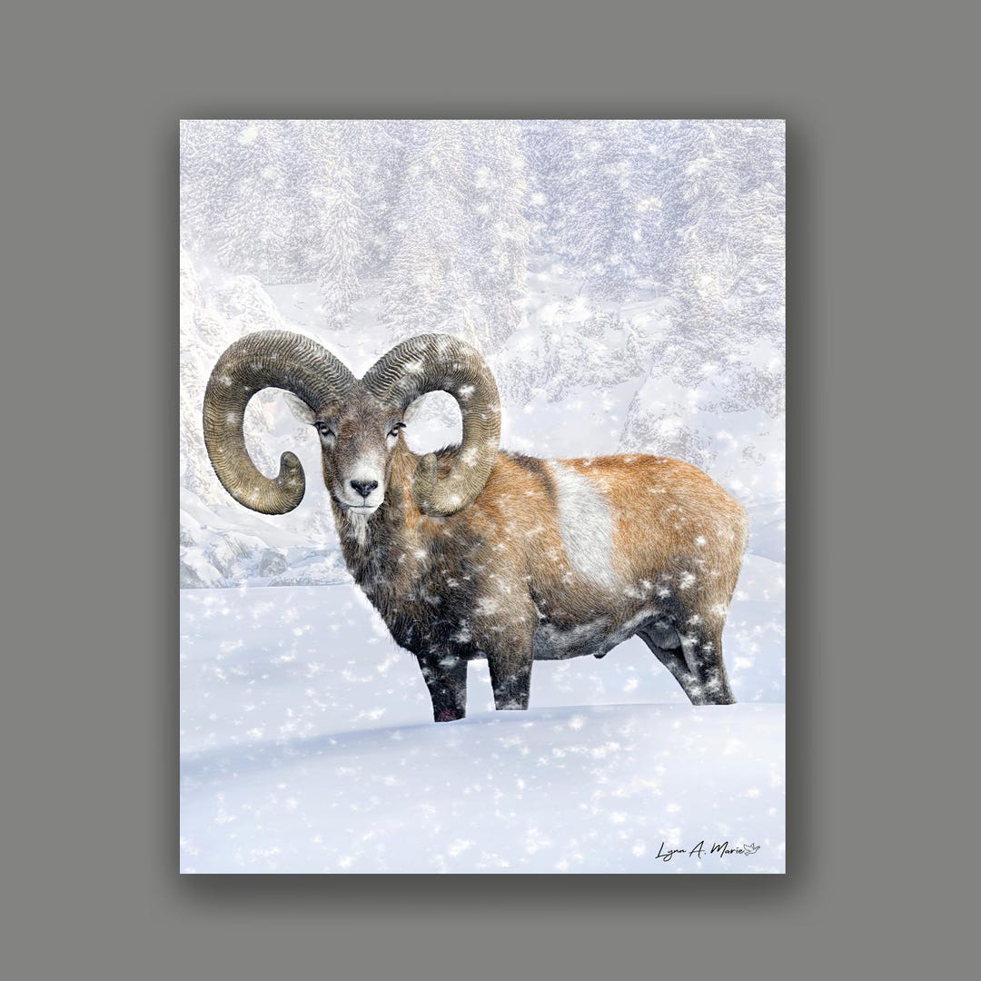 Mouflon Bighorn Sheep Vertical Digital Art Print, Not AI, Archival ...