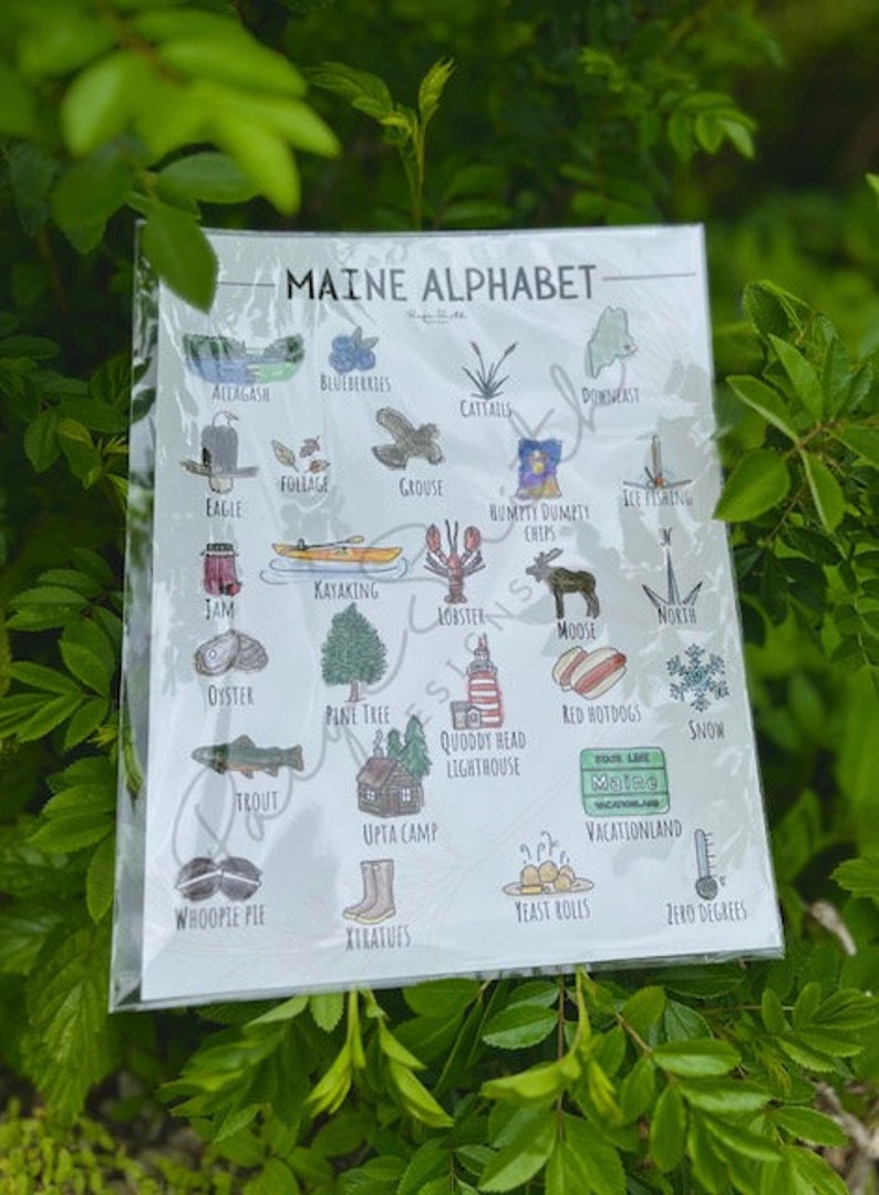 Maine Alphabet Hand Drawn Print - Etsy