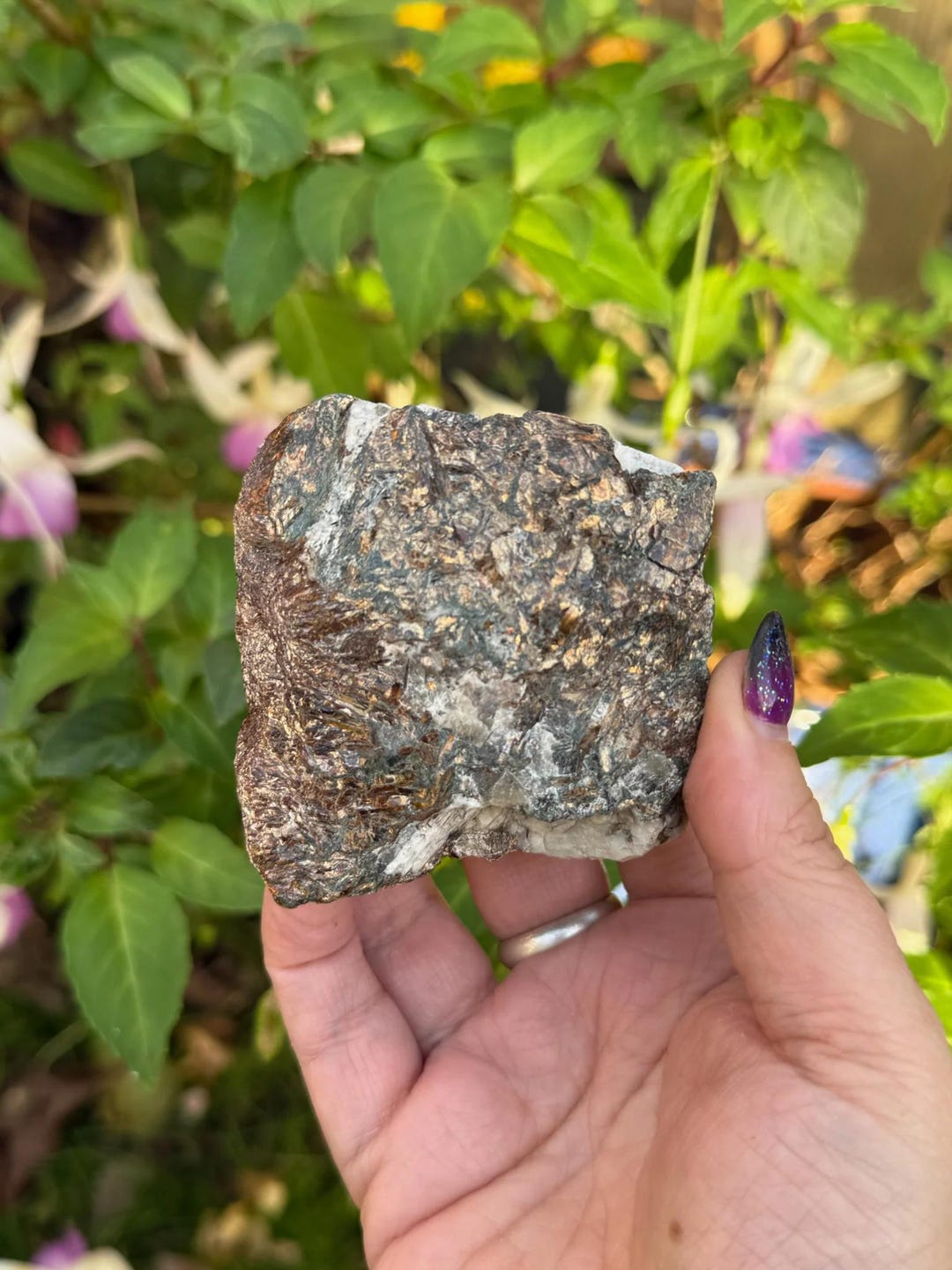 Rare Astrophyllite in Feldspar Specimen From Norway - Etsy