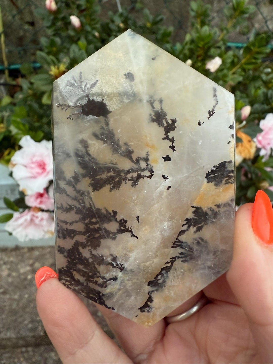 Dendritic Quartz Slice Specimen - Etsy