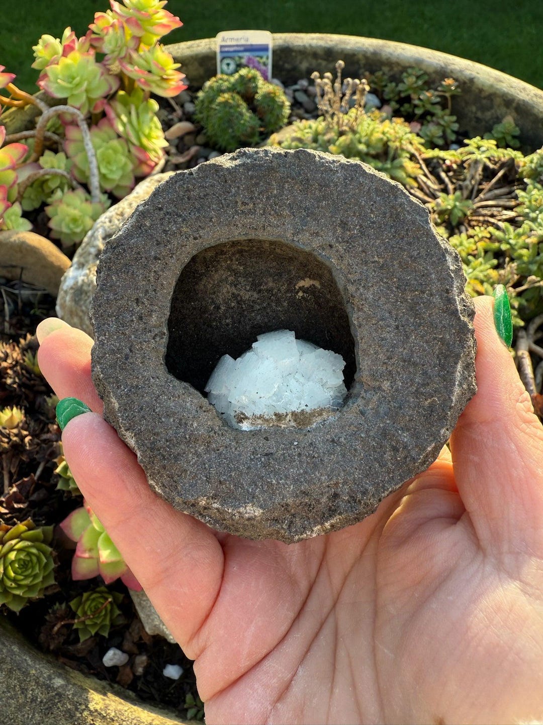 Stellerite in Geode Specimen - Etsy