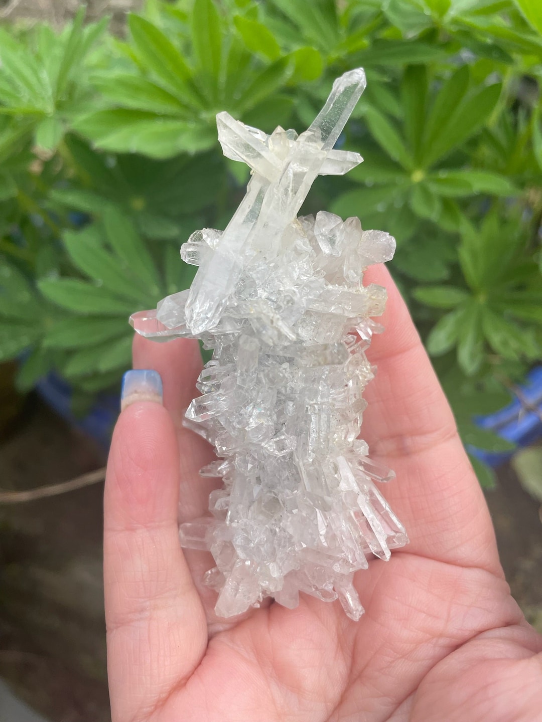 Needle Quartz Cluster Specimen - Etsy