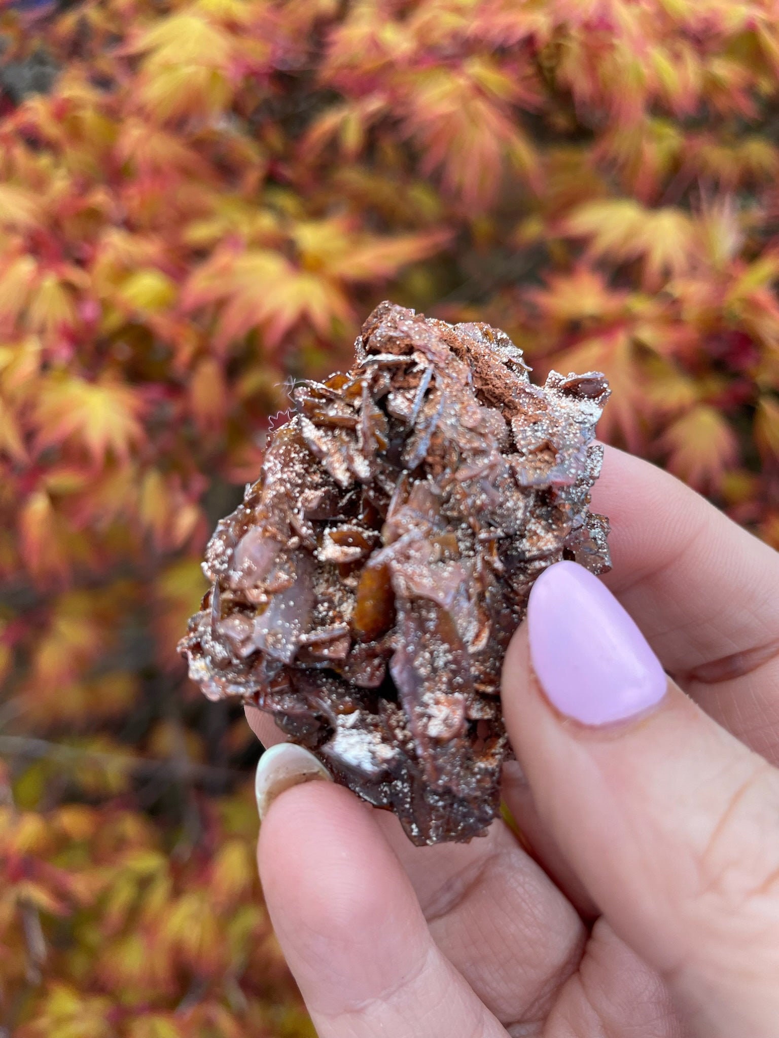 Rare Descloizite Namibia Specimen - Etsy