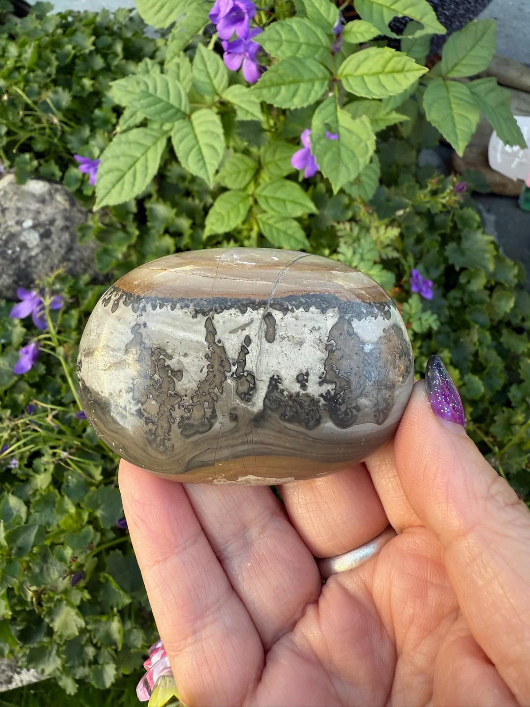 Stromatolite Cotham Marble Palmstone - Etsy