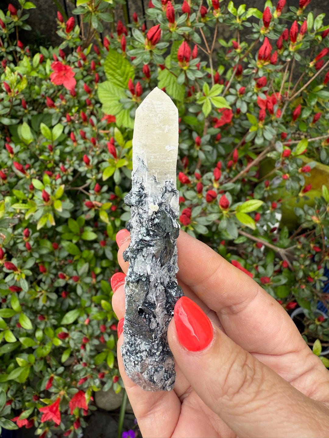 Rose Specular Hematite on Quartz Specimen - Etsy