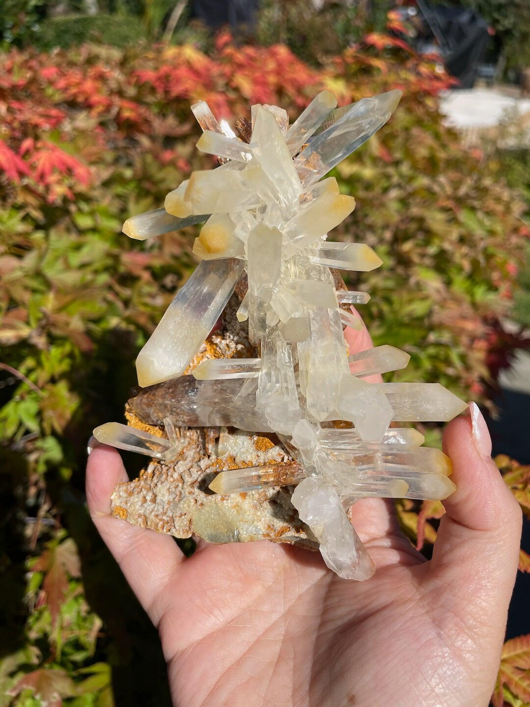 Rare Mango Quartz Specimen From Columbia - Etsy