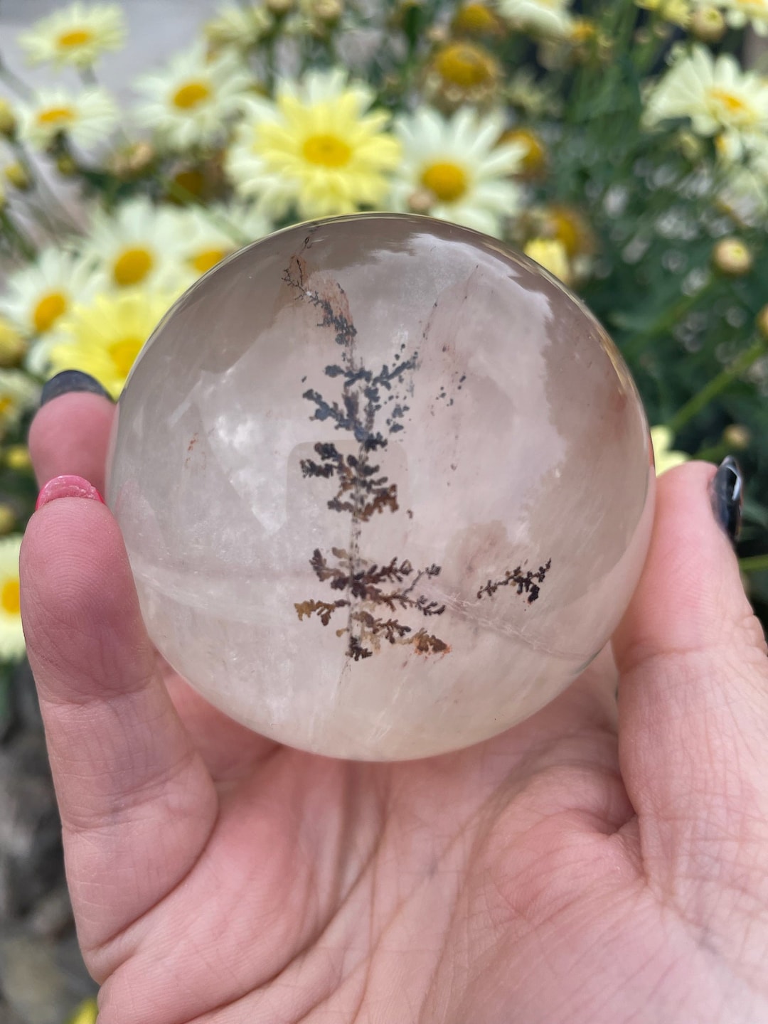 Rare Clear Dendritic Fluorite Sphere - Etsy