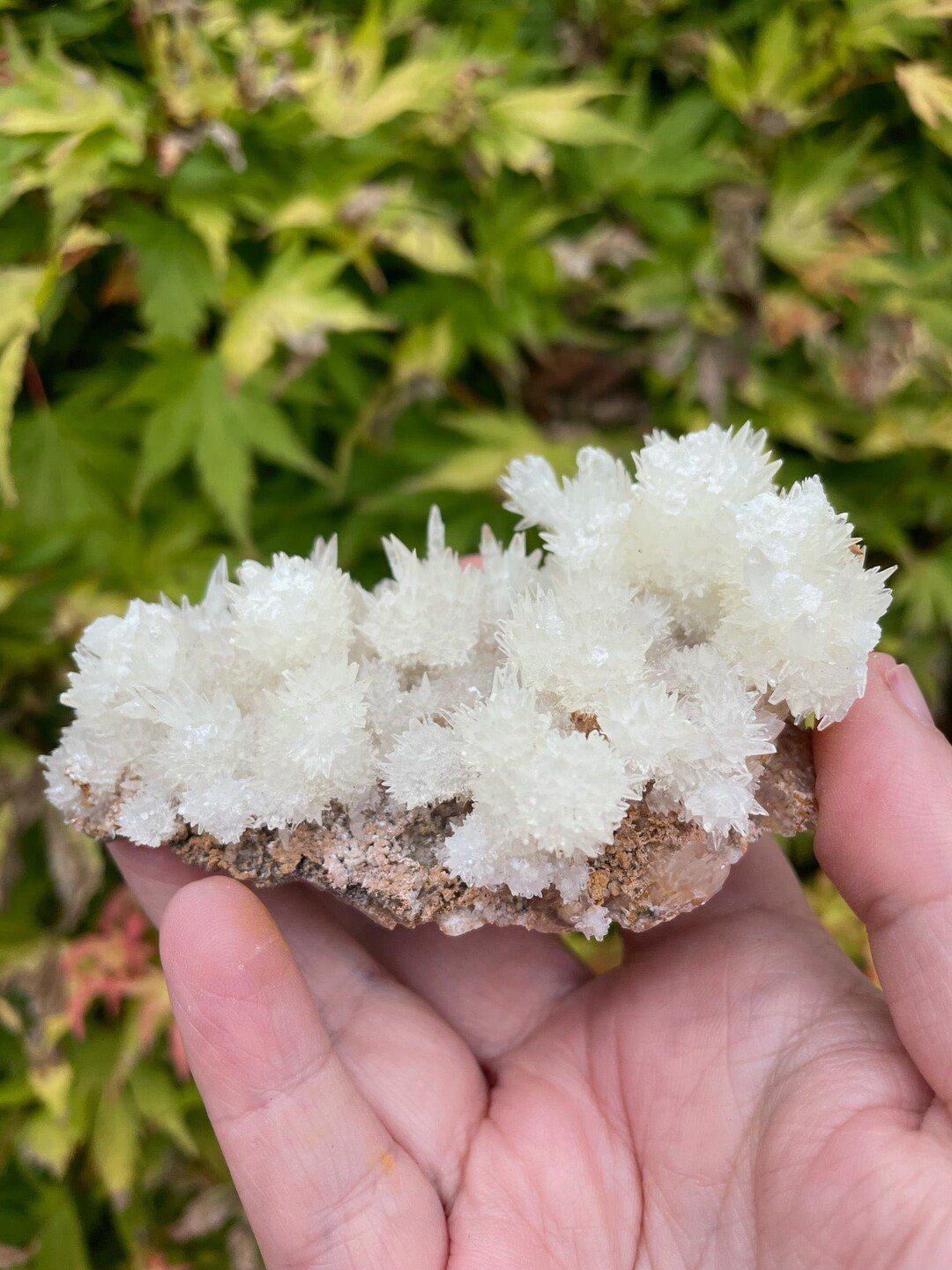 White and Chocolate Calcite Specimen - Etsy