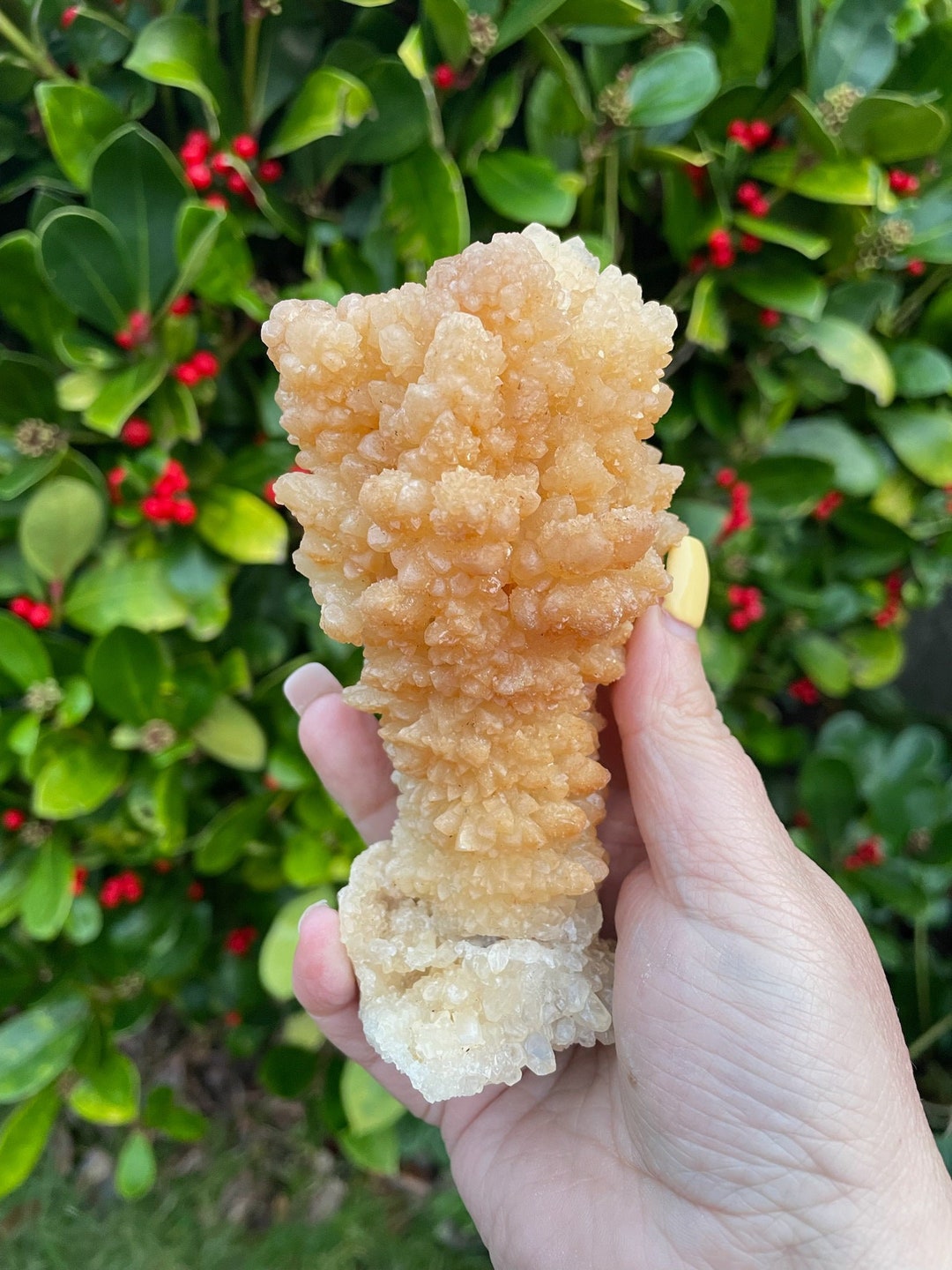 Orange Calcite Stalactite Flower Specimen - Etsy