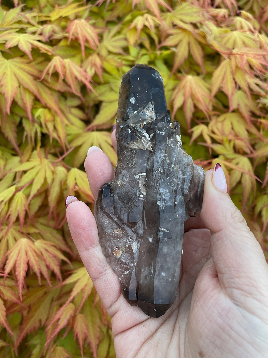 Double Terminated Elestial Smoky Quartz Malawi Specimen - Etsy