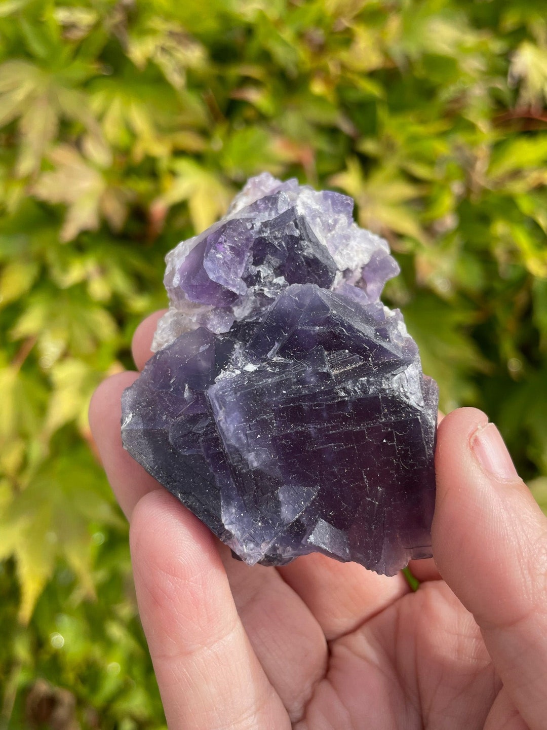 Purple QR Code Fluorite Specimen - Etsy