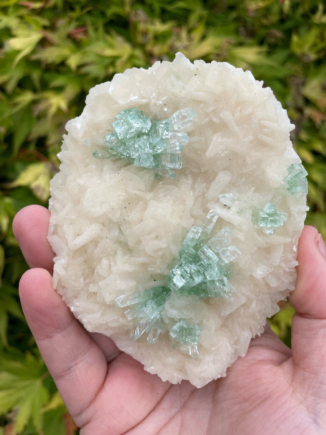 Disco Ball Apophyllite Specimen - Etsy